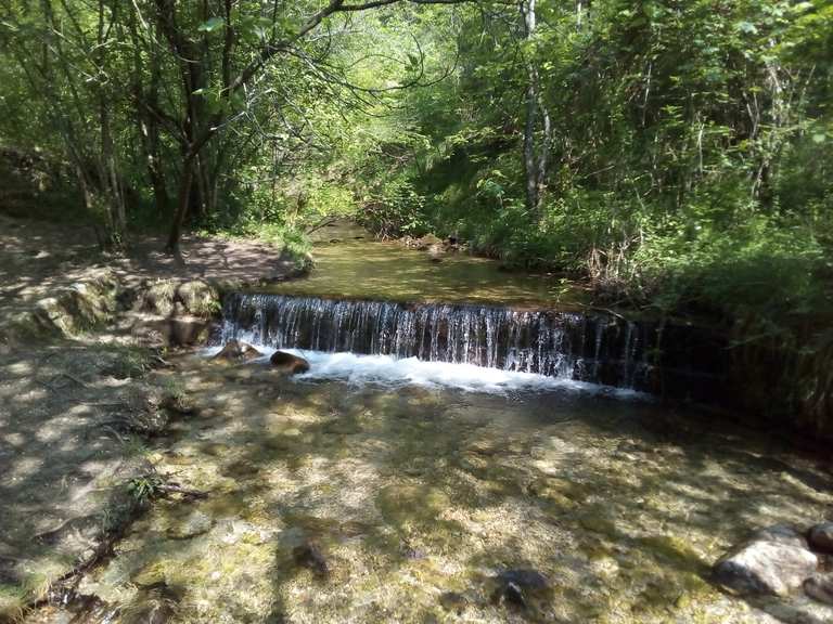 Sentiero Bujon del Gal: percorsi escursionistici e trekking | Komoot