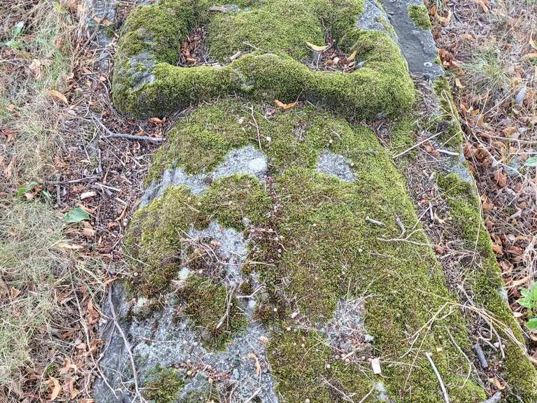 Kirche Sankt Marien Sylda: Wanderungen und Rundwege | komoot