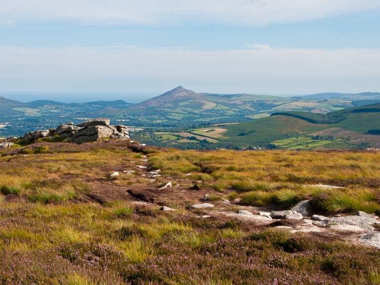 Dublin Mountains Way – Hiking in Ireland | hike | Komoot