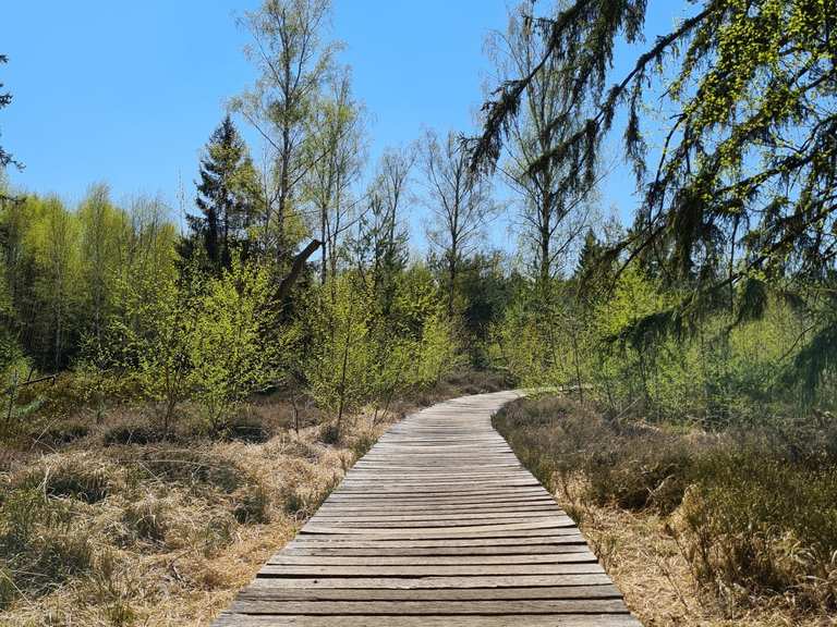 Moor and moore: Wanderungen und Rundwege | komoot