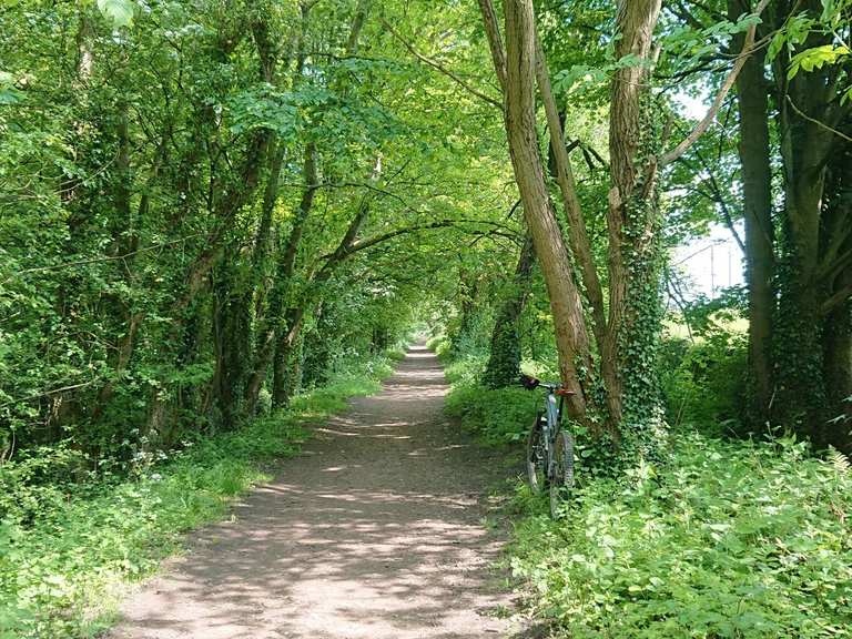 Meden Trail Mountain Bike Trails & Tracks | Komoot