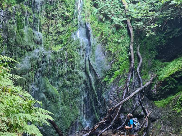 Dhoon Glen Waterfall: Wanderungen und Rundwege | komoot