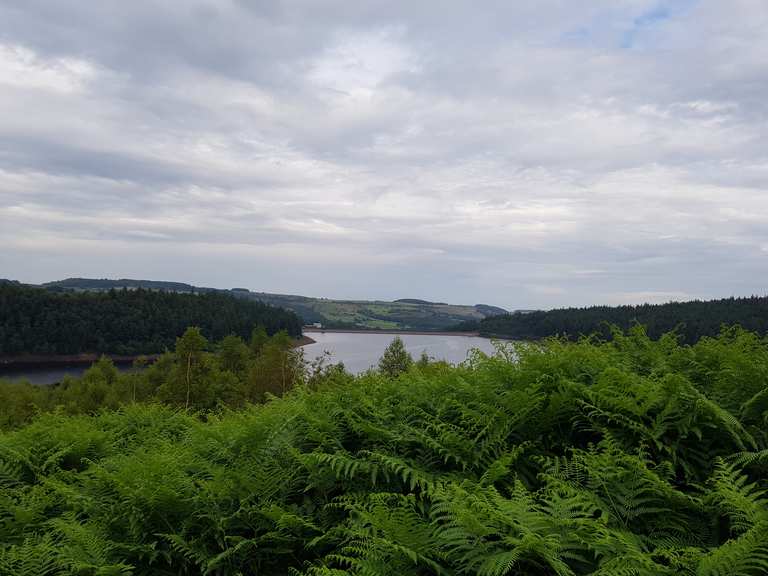 Views of Langsett Reservoir Routes for Walking and Hiking | Komoot