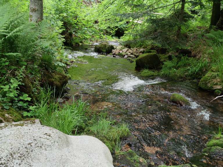 Kesselbach: Wanderungen und Rundwege | komoot