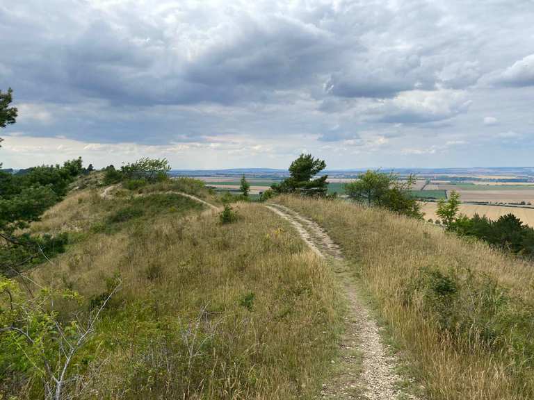 Ziegenberg: Wanderungen und Rundwege | komoot