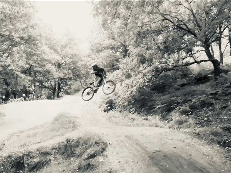 Park bridge MTB trail - Mountain Bike Trails & Tracks | Komoot