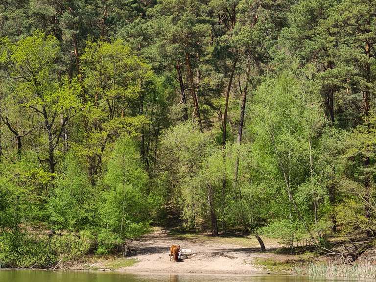Teufelssee: Wanderungen und Rundwege | komoot