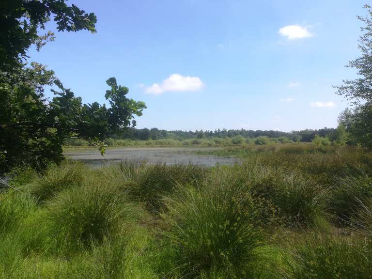 Witte Veen – Fietspad - Horsterveldweg Rondje vanuit Buurse ...