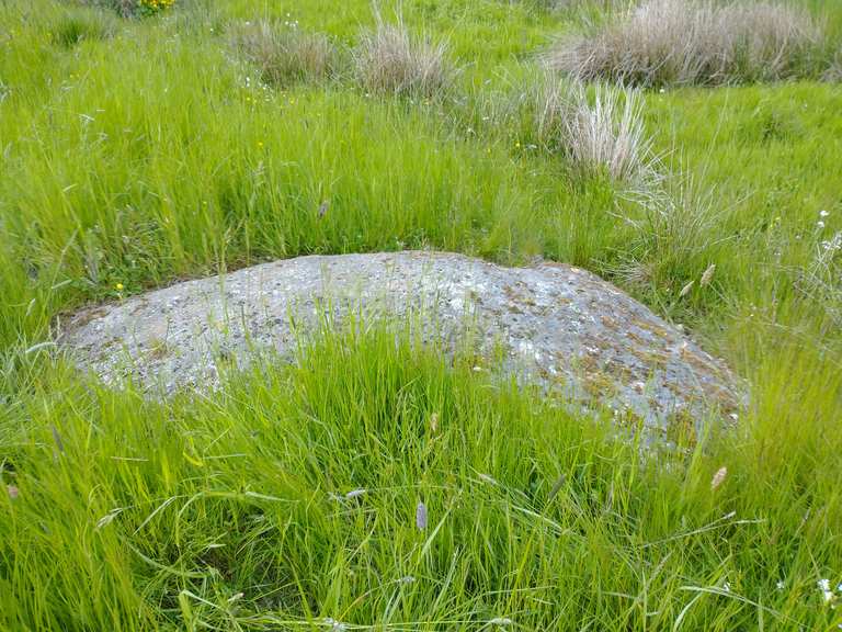 Glacial Erratic of Unknown Origin – Cycling Routes & How to Get There ...