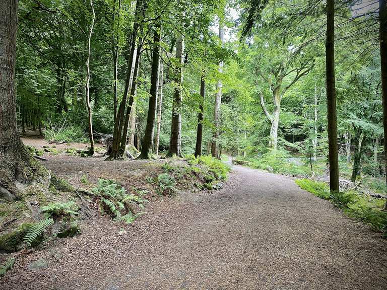 Three Rock Mountain loop from Bray – Wicklow Mountains National Park ...