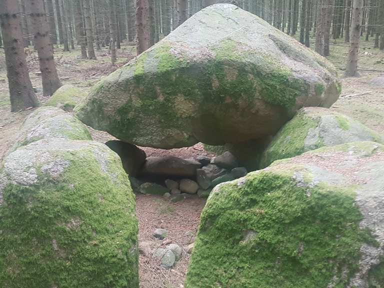 Megalithic tomb in the forest near Röbel – Hiking & Cycling Routes | Komoot