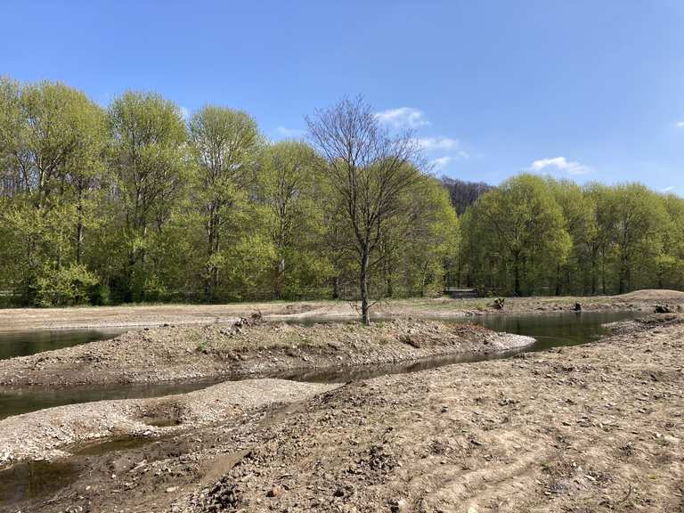 Lenne Renaturierung: Mountainbike-Touren | komoot