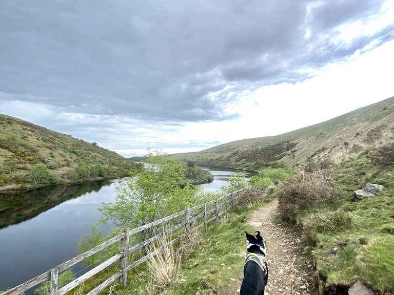 Yes Tor & High Willhays loop from Meldon Reservoir | hike | Komoot