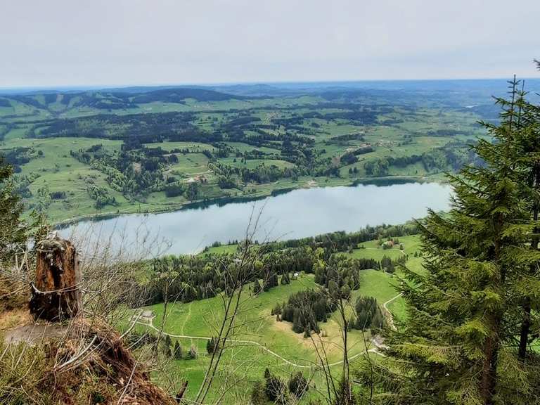 Gschwender Horn: Wanderungen und Rundwege | komoot
