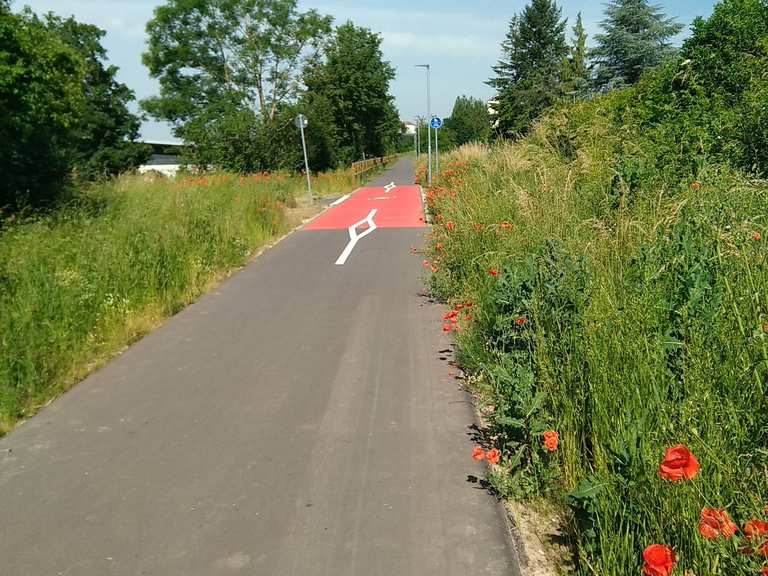 Radweg auf ehem. Bahntrasse : Radtouren und Radwege | komoot