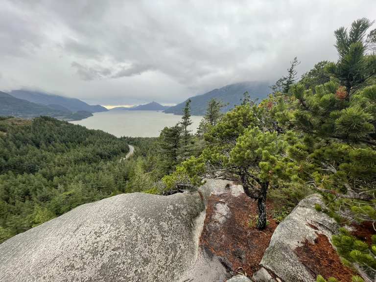 Quercus Point Routes for Walking and Hiking | Komoot