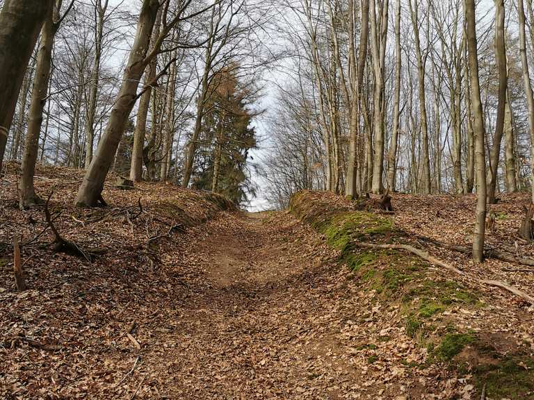 Steiler Abhang: Wanderungen und Rundwege | komoot
