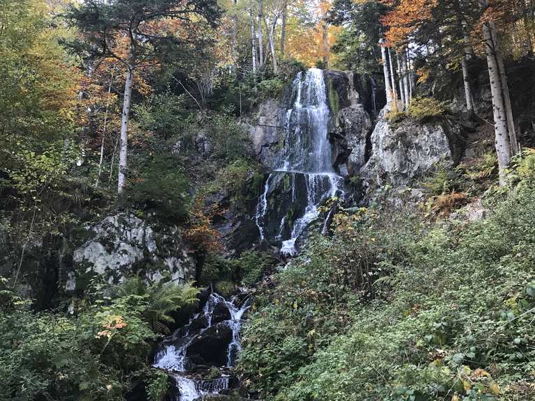 Cascade du Hohwald Routes for Walking and Hiking | Komoot