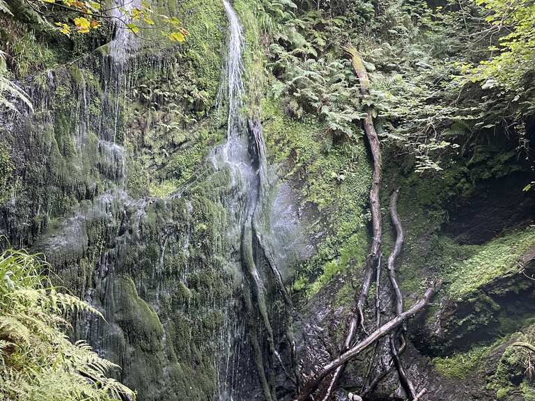 Dhoon Glen Waterfall: Wanderungen und Rundwege | komoot