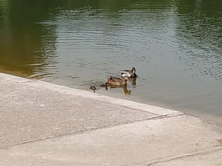 Parc de l'Agulla Routes for Walking and Hiking | Komoot