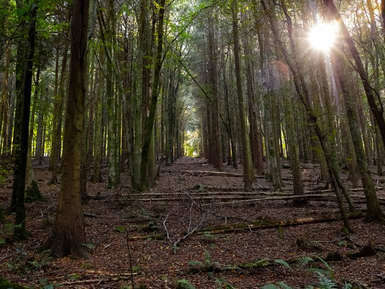 Goblin Combe Routes for Walking and Hiking | Komoot