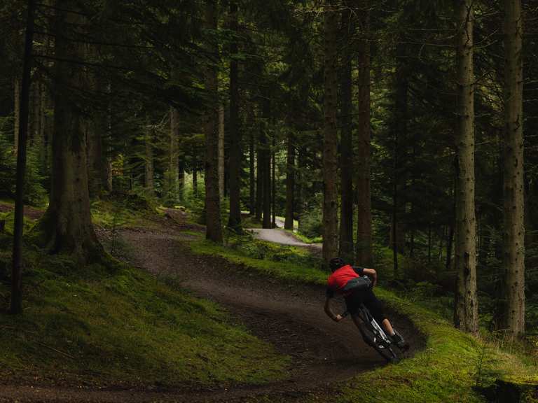 Berm Baby Berm (blue) Mountain Bike Trails & Tracks | Komoot