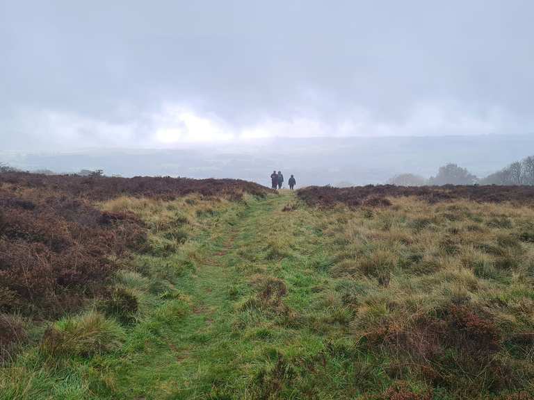 TGO: Quiet Walks in the Peak District - Coombs Dale and Longstone Moor ...