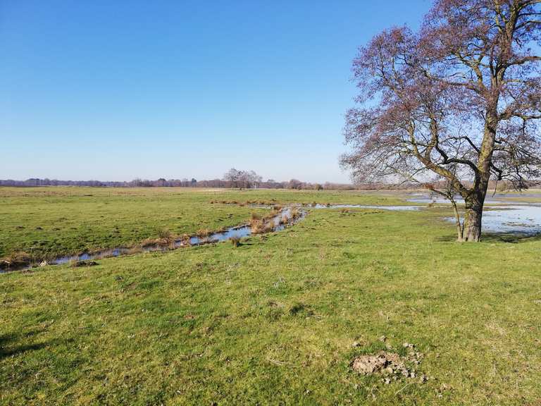 Single track red trail – The beast and other trails Loop from Bury St ...