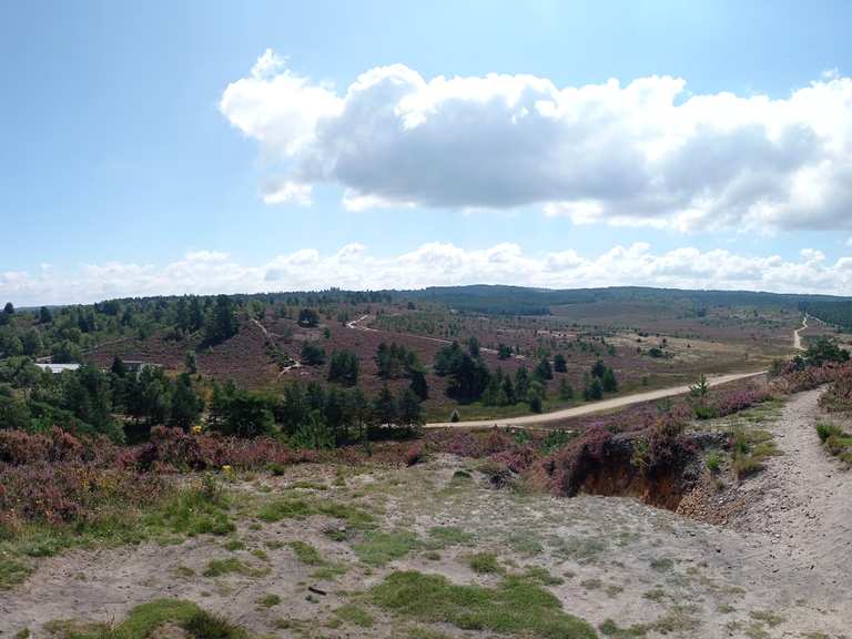 Hankley Common loop from Haslemere – Thursley Common National Nature ...