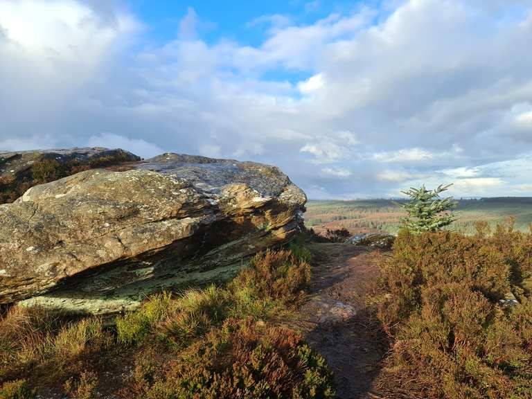 Thrunton Wood & Coe Crag loop | hike | Komoot