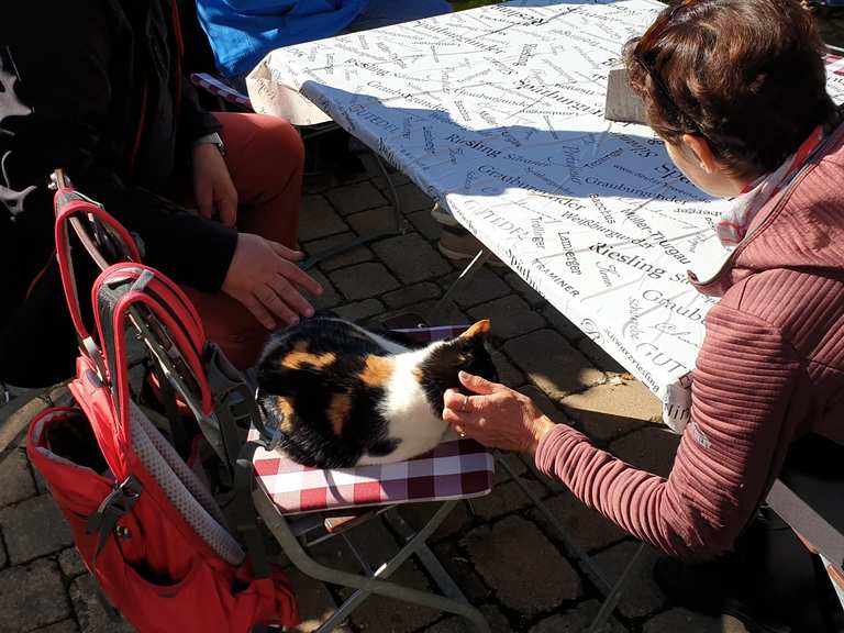 Weingalerie im Schweigenberg: Wanderungen und Rundwege | komoot