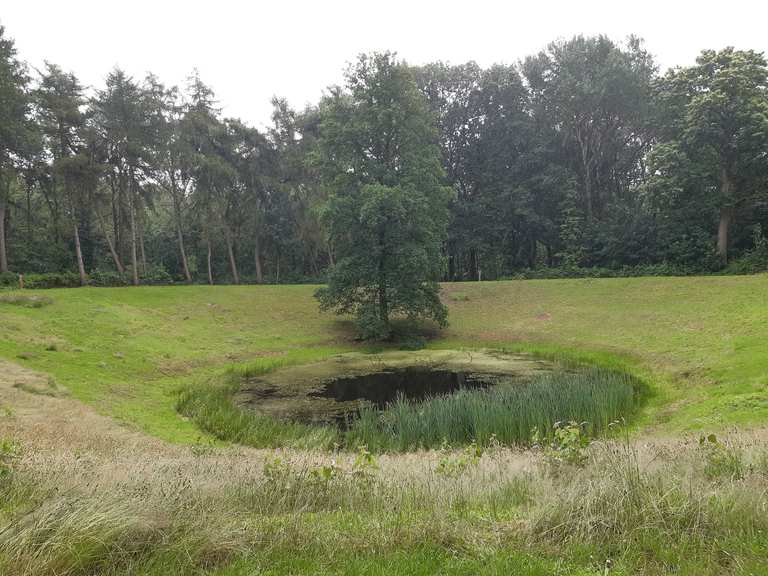 Caterpillar Krater wandelroutes en hikes | Komoot