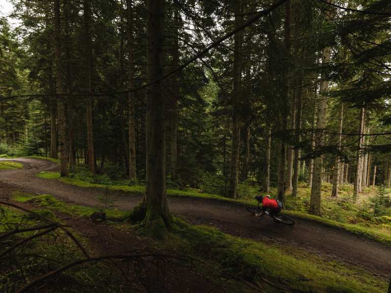 Glentress Trail Centre loop from Peebles | Mountainbike-Tour | Komoot
