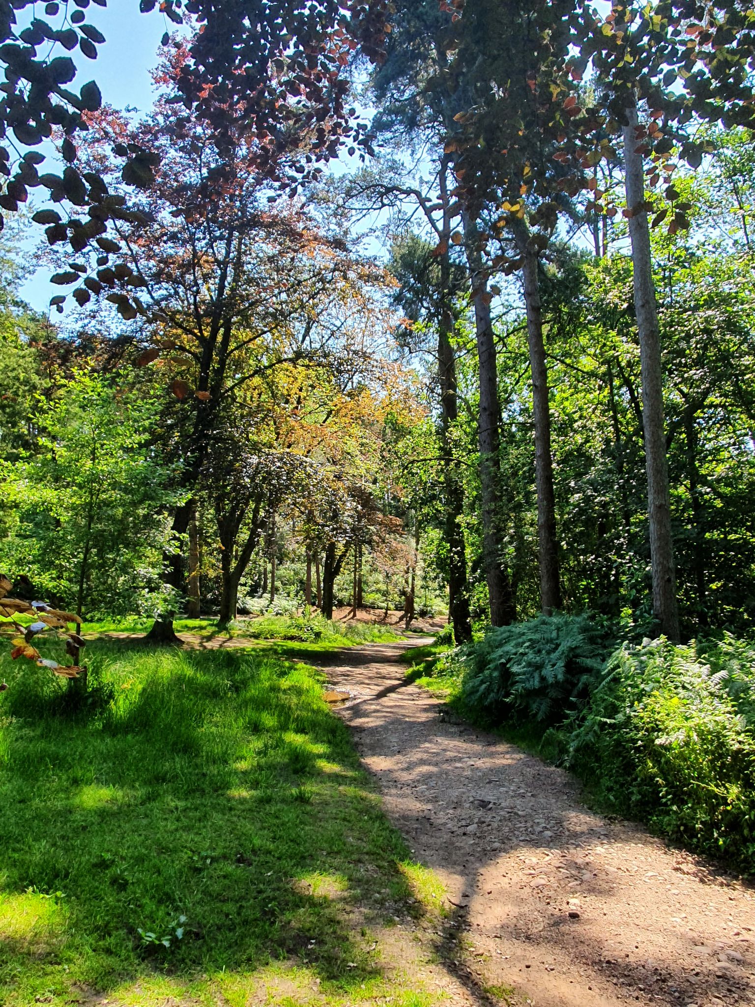 Lickey Hills loop | mountain bike ride | Komoot