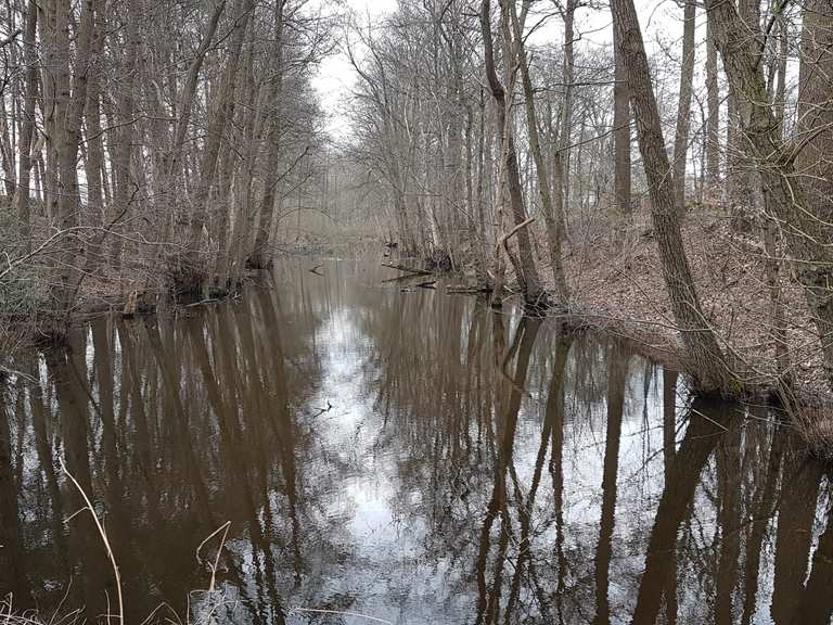 Max-Clemens-Kanal-Teilstück Maxhafen bis Clemenshafen: percorsi ...