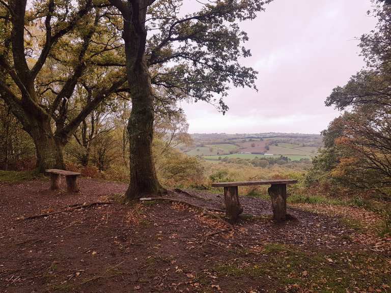 Kinver Edge to The Rock Houses loop — Kingsford Forest Park | hike | Komoot