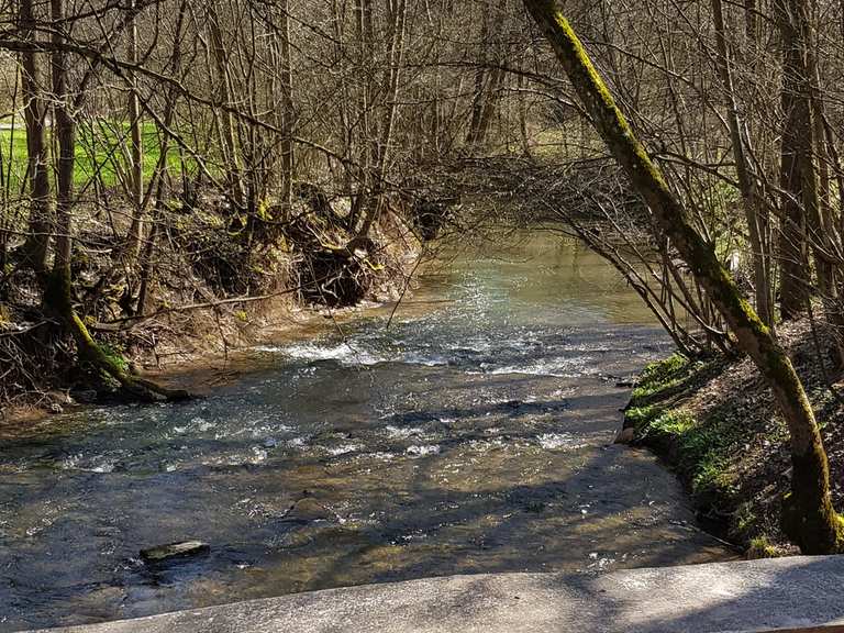 Naturnaher Weg entlang der Metter - fietsroutes en kaart | Komoot