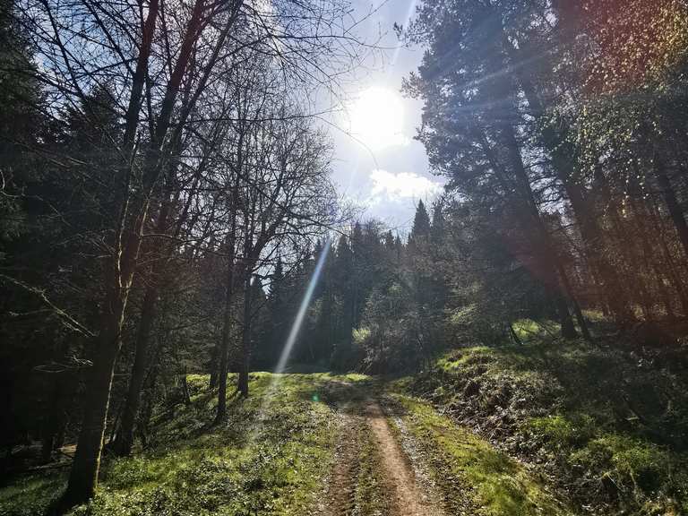Darley Bridge loop via Oker Bridge — Peak District National Park | hike ...