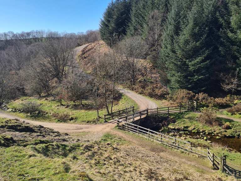 Anglezarke North-eastern Shore – White Coppice loop from Rivington ...