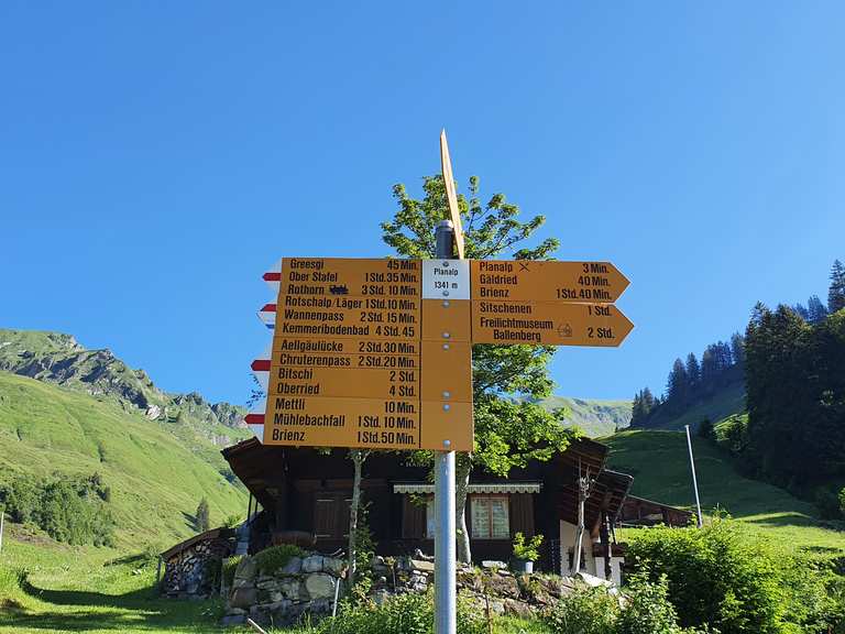Planalp Station (Brienzer Rothorn Railway) Routes for Walking and ...