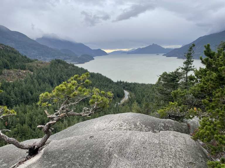 Quercus Point Routes for Walking and Hiking | Komoot