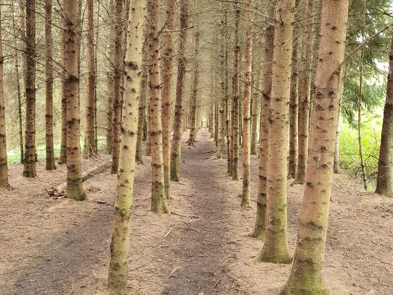 Natuurreservaat Lovenhoek wandelroutes en hikes | Komoot