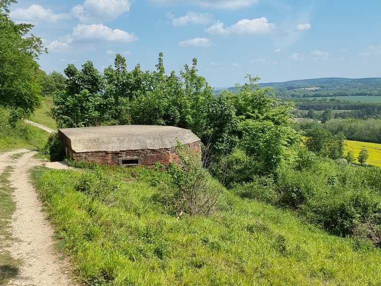 White Downs & Hackhurst Downs Schleife von Abinger Roughs — Surrey ...