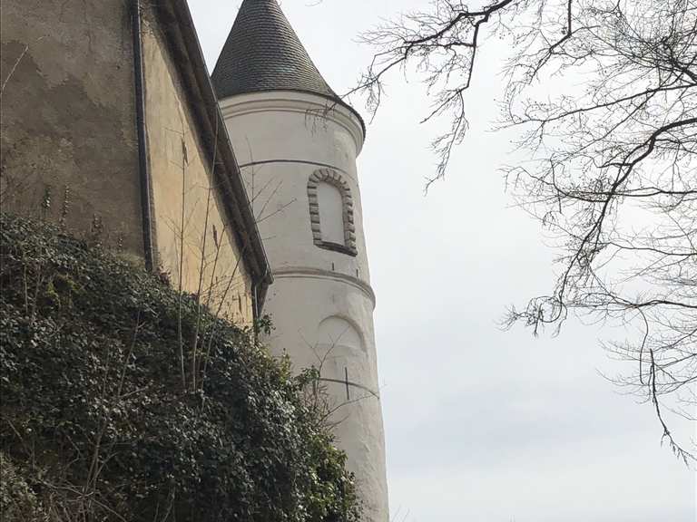 Schloss Neidstein Routes for Walking and Hiking | Komoot