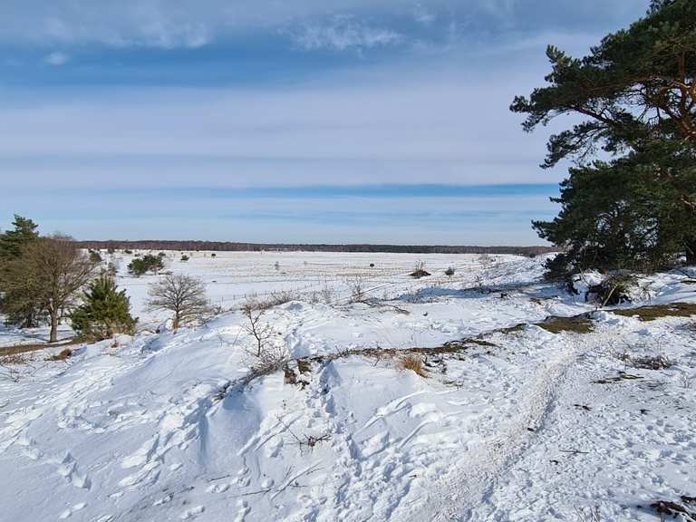 Landgoed de Hamert: Wanderungen und Rundwege | komoot