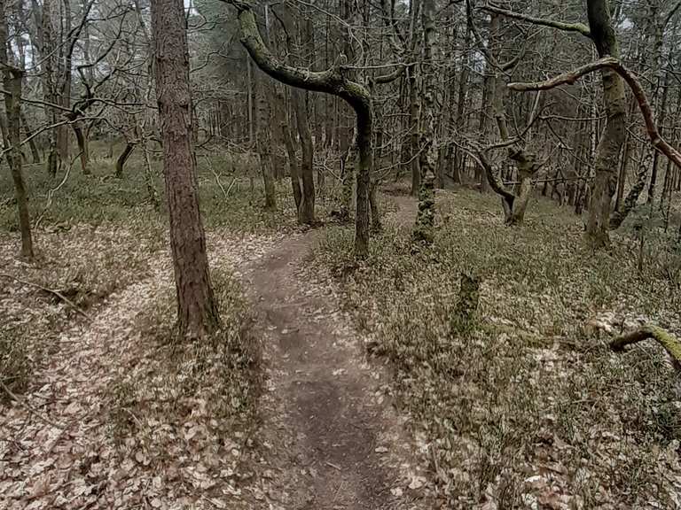 Peaslake – View Point Loop from Peaslake | Mountainbike-Tour | Komoot