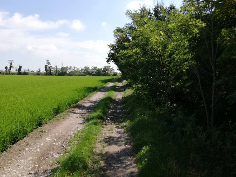 Novara e i suoi Navigli — giro ad anello | Percurso de BTT | Komoot