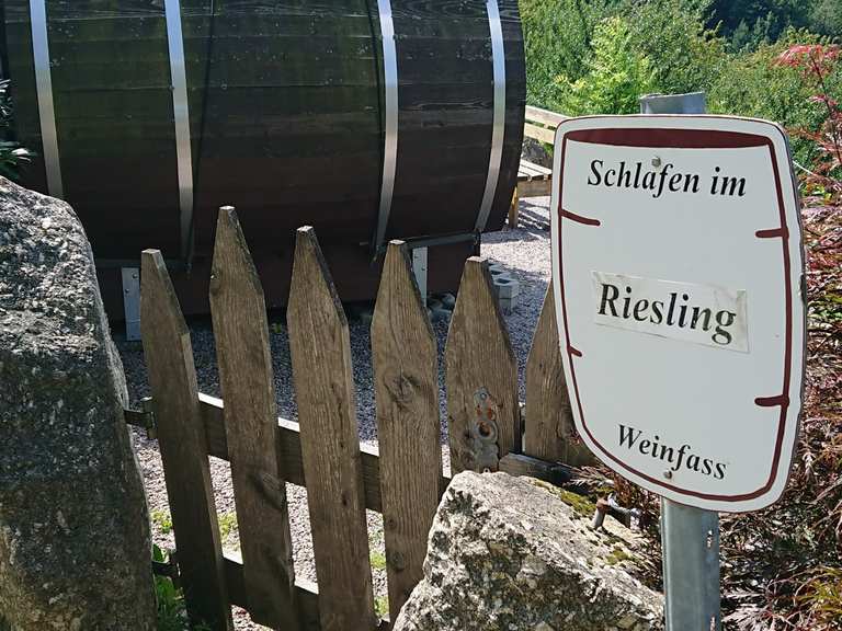 Blick zum Rheingraben: Wanderungen und Rundwege | komoot