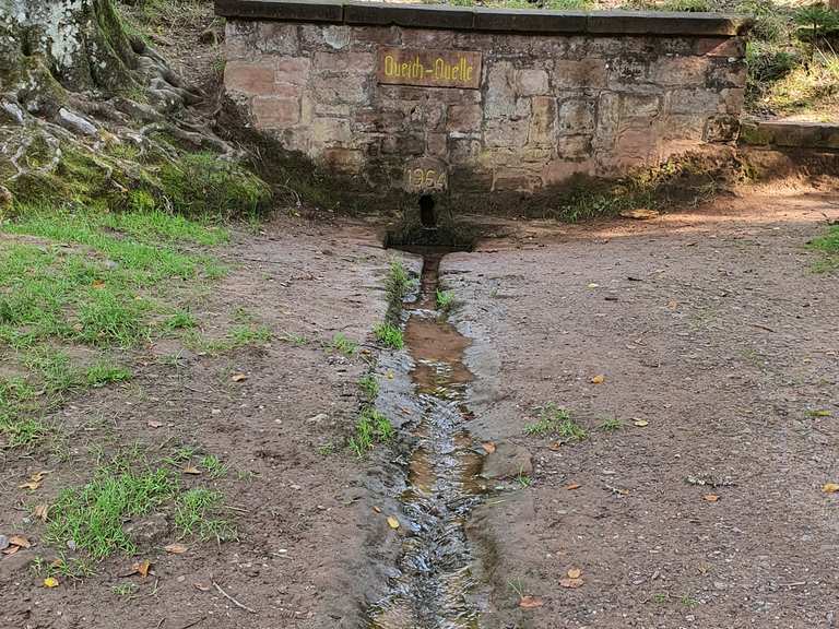 Queich-Quelle (Ritterstein Nr. 214: „Queich-Ursprung“): Wanderungen und ...