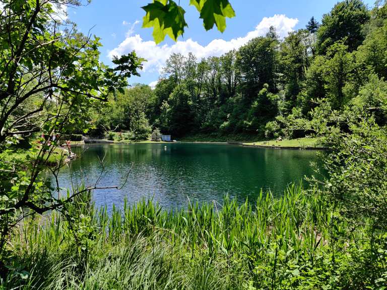 Laghetto di Astano - Astano See Routes for Walking and Hiking | Komoot